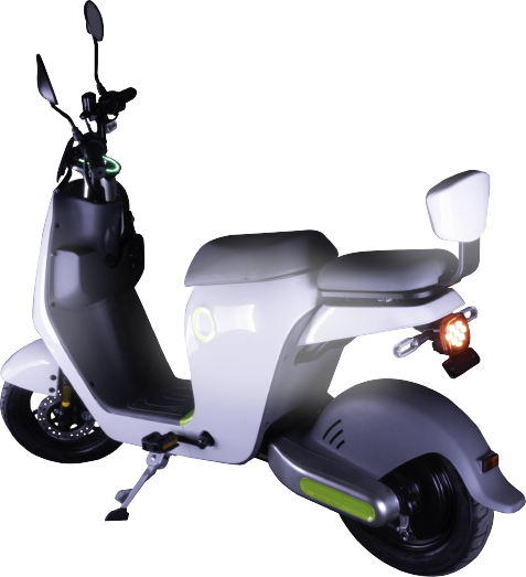 Elektro motorka ViaGo Tokio 250W/500W bez ŘP | Viago.cz